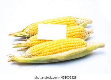 Corn Blank Note Isolated On White Stock Photo 451038529 | Shutterstock