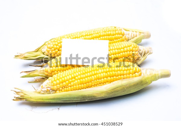 Corn Blank Note Isolated On White Stock Photo 451038529 | Shutterstock