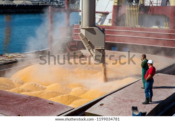 Corn Bulk Carrier Hold Casting Hold Stock Photo (Edit Now) 1199034781