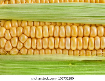 Corn Close Macro Surface Top View Stock Photo 103732280 | Shutterstock