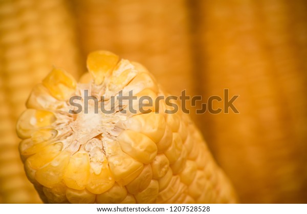 Corn Cob Cross Section Close Stock Photo 1207528528 | Shutterstock