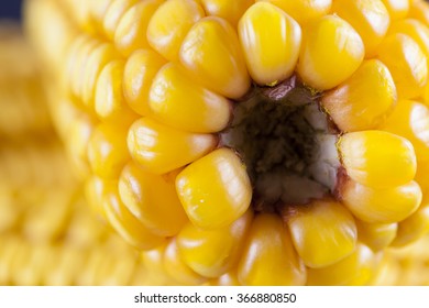 50 Roasted corn cop Images, Stock Photos & Vectors | Shutterstock