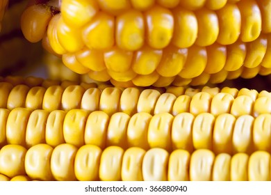 50 Roasted corn cop Images, Stock Photos & Vectors | Shutterstock