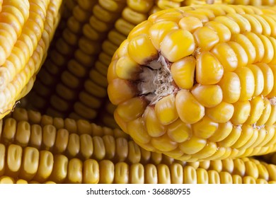 50 Roasted corn cop Images, Stock Photos & Vectors | Shutterstock