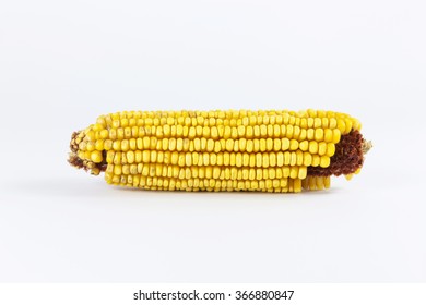 50 Roasted corn cop Images, Stock Photos & Vectors | Shutterstock