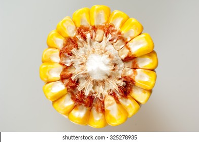 1,050 Corn cross section Images, Stock Photos & Vectors | Shutterstock