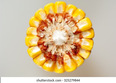 1,050 Corn cross section Images, Stock Photos & Vectors | Shutterstock