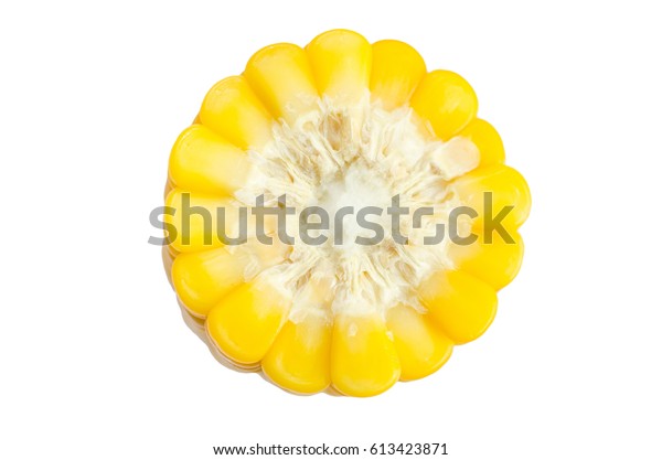 Corn Cross Section Isolated On White Stock Photo 613423871 | Shutterstock