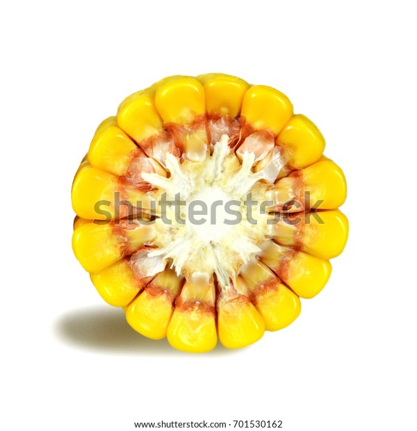Corn Cross Section Isolated On White Stock Photo (Edit Now) 701530162