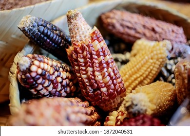 Corn Different Types Mexican Corn Native Stock Photo 1872040528 ...