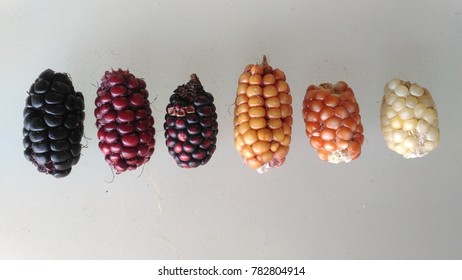 Germplasm Images, Stock Photos & Vectors | Shutterstock