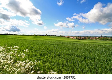 Corn Field Spring Stock Photo 2859751 | Shutterstock