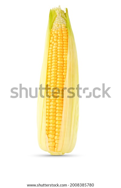 Corn Horizontal Position On White Background Stock Photo 2008385780 ...