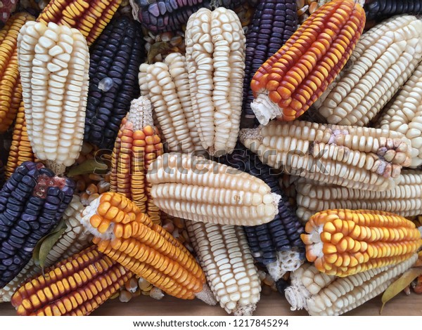 Corn Mexican Oaxaca Stock Photo 1217845294 | Shutterstock