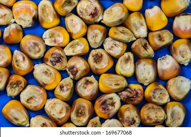 1,667 Corn mold Images, Stock Photos & Vectors | Shutterstock