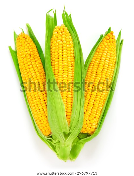 Corn On Cob Kernels Close Shot Stock Photo (Edit Now) 296797913