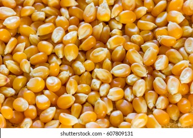 30,663 Popcorn seeds Images, Stock Photos & Vectors | Shutterstock