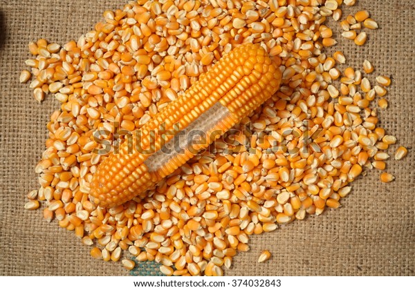 Corn Seed On Sack Background3 Stock Photo (Edit Now) 374032843