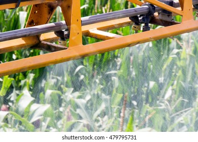 4,205 Corn spray Images, Stock Photos & Vectors | Shutterstock