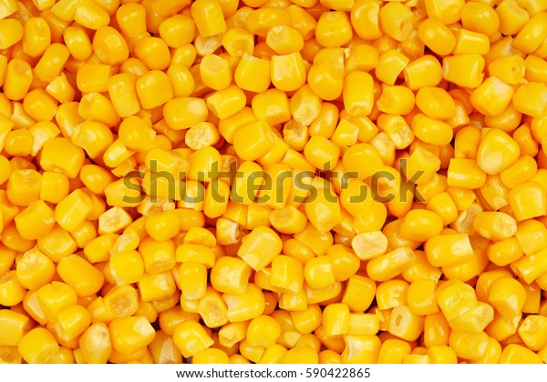Corn Texture Yellow Corns Background Stock Photo 590422865 | Shutterstock