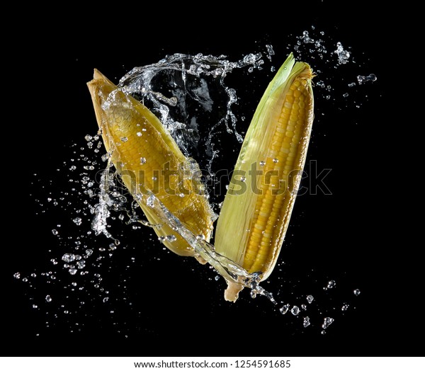 Corn Water Splash Explode Flying Air Stock Photo 1254591685 | Shutterstock