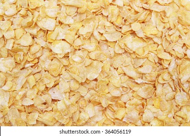 Collections by Parinya | Shutterstock
