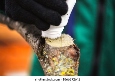 1,504 Cut putty Images, Stock Photos & Vectors | Shutterstock