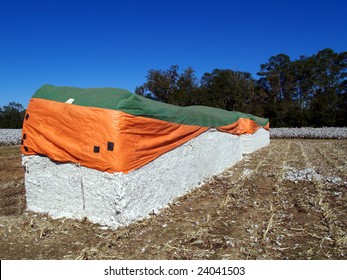 185 imágenes de Cotton modules - Imágenes, fotos y vectores de stock ...