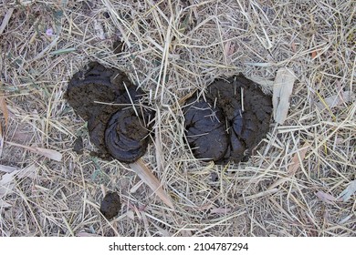 3,280 Fresh shit Images, Stock Photos & Vectors | Shutterstock