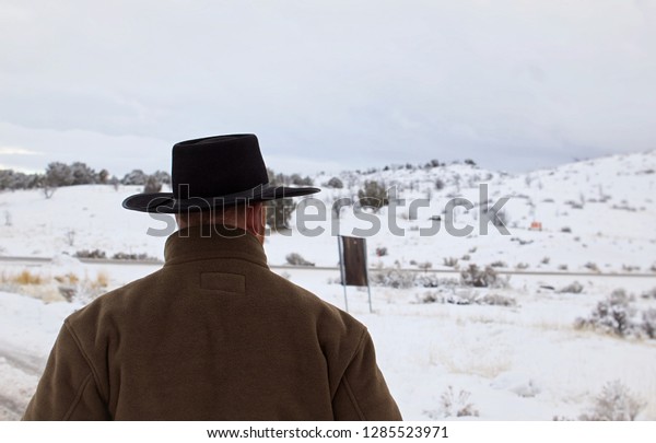 Cowboy Checking Cows Stock Photo 1285523971 | Shutterstock