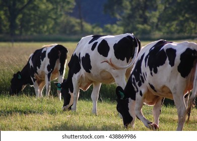 Stock Photo and Image Portfolio by Kelly42 | Shutterstock