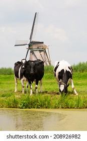 1,060 Dutch Cow Windmill Images, Stock Photos & Vectors | Shutterstock