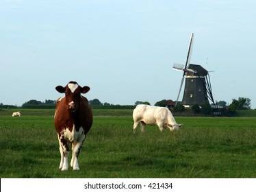 7,657 imágenes de Cow windmill - Imágenes, fotos y vectores de stock ...