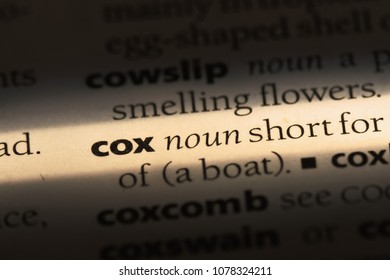 Decametre Word Dictionary Decametre Concept Stock Photo 1078321595 ...