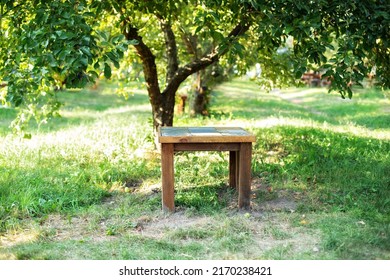 1,127 Picnic table under tree Images, Stock Photos & Vectors | Shutterstock