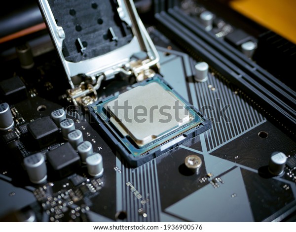 Cpu Processor Socket On Motherboard Stock Photo 1936900576 | Shutterstock