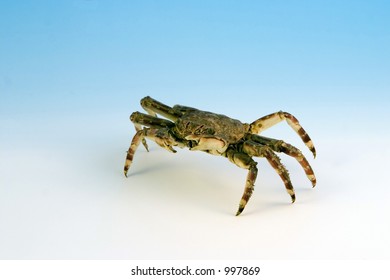 101 imágenes de Crab stance - Imágenes, fotos y vectores de stock ...