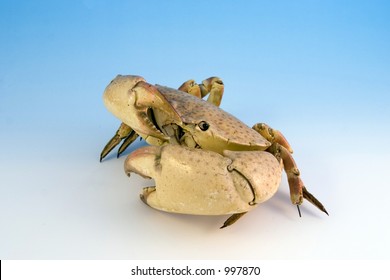 101 imágenes de Crab stance - Imágenes, fotos y vectores de stock ...