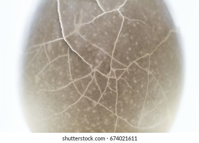 Cracked Egg Shell Closeup Texture Crack Stock Photo 674021611 ...