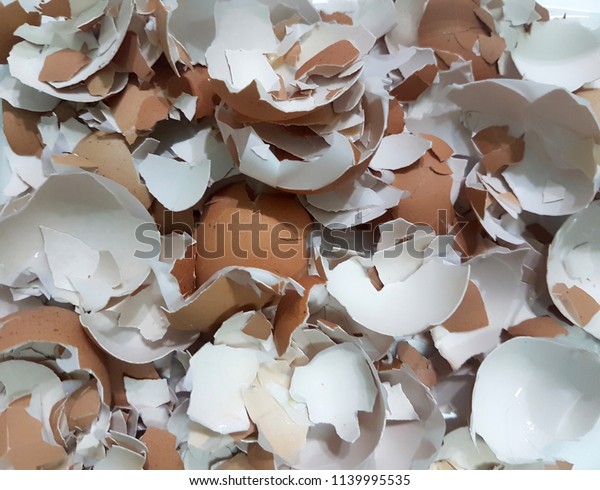 Cracked Egg Shell Texture Concept Food Stock Photo 1139995535 ...