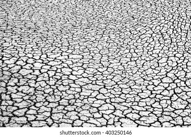 Cracked Soil Texture Background Stock Photo 403250146 | Shutterstock