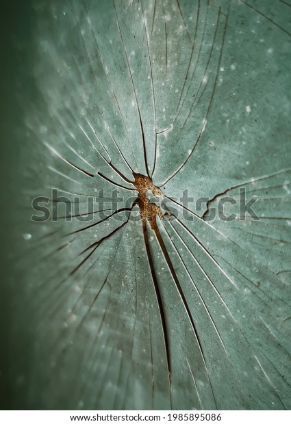 Cracked Surface Texture Container Stock Photo 1985895086 | Shutterstock