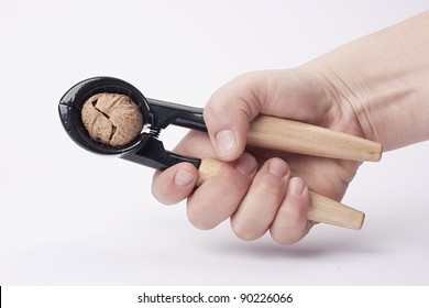 123,037 Crack a nut Images, Stock Photos & Vectors | Shutterstock