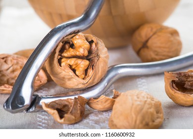 Cracking Shelling Walnuts Nutcracker Stock Photo 1160600932 | Shutterstock