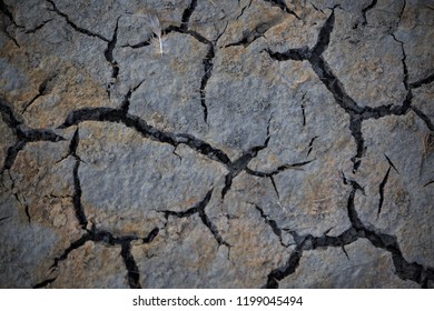 Cracks Dry Mud Form Patterns Stock Photo 1199045494 | Shutterstock