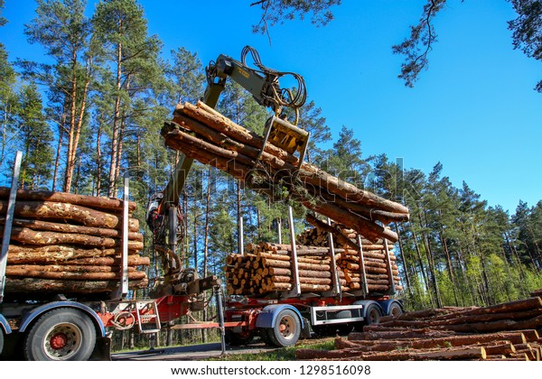 Photo de stock Grue dans les grumes de chargement 1298516098 | Shutterstock