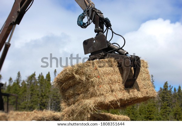Crane Picking Bale Hay Stock Photo 1808351644 | Shutterstock