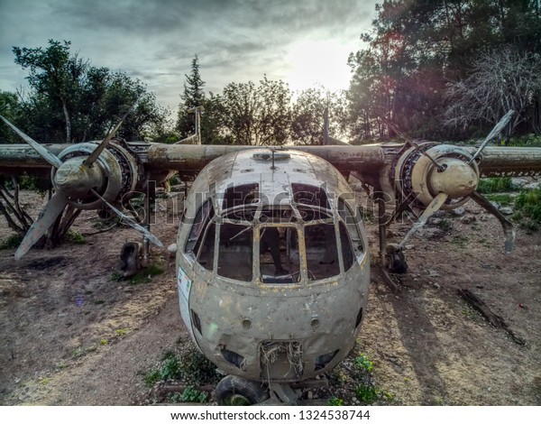 Crashed Plane Forest Sunset Stock Photo 1324538744 | Shutterstock