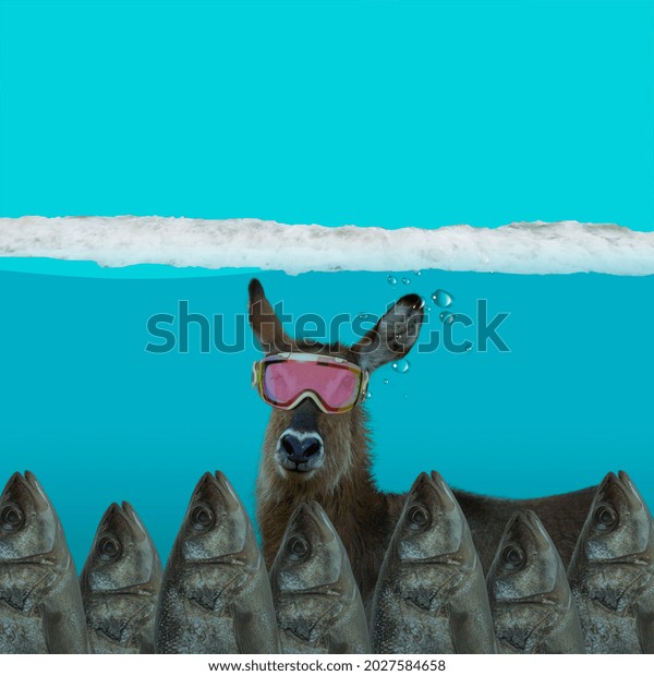 92 imágenes de Donkey mood - Imágenes, fotos y vectores de stock ...