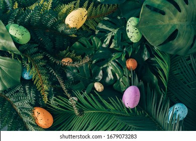 Creative Easter Nature Background Green Tropical Stock Photo 1679073283 ...